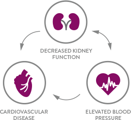 unhealthy kidney function